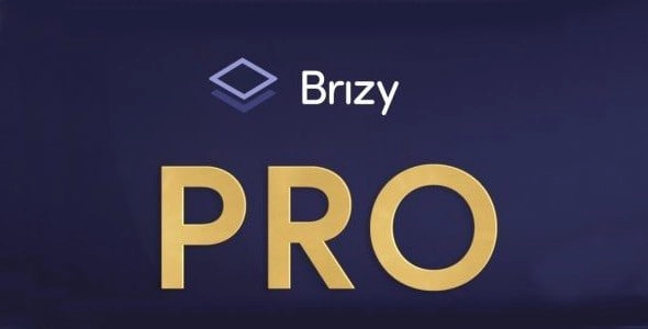 Brizy Pro - Tuximap