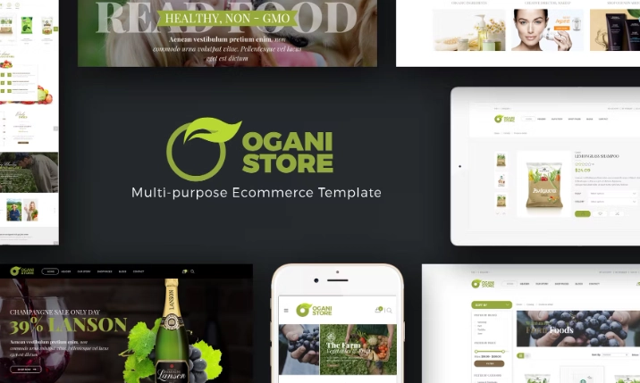 Buy Ogani – Organic Food Store Theme For WooCommerce At The BEST PRICE!